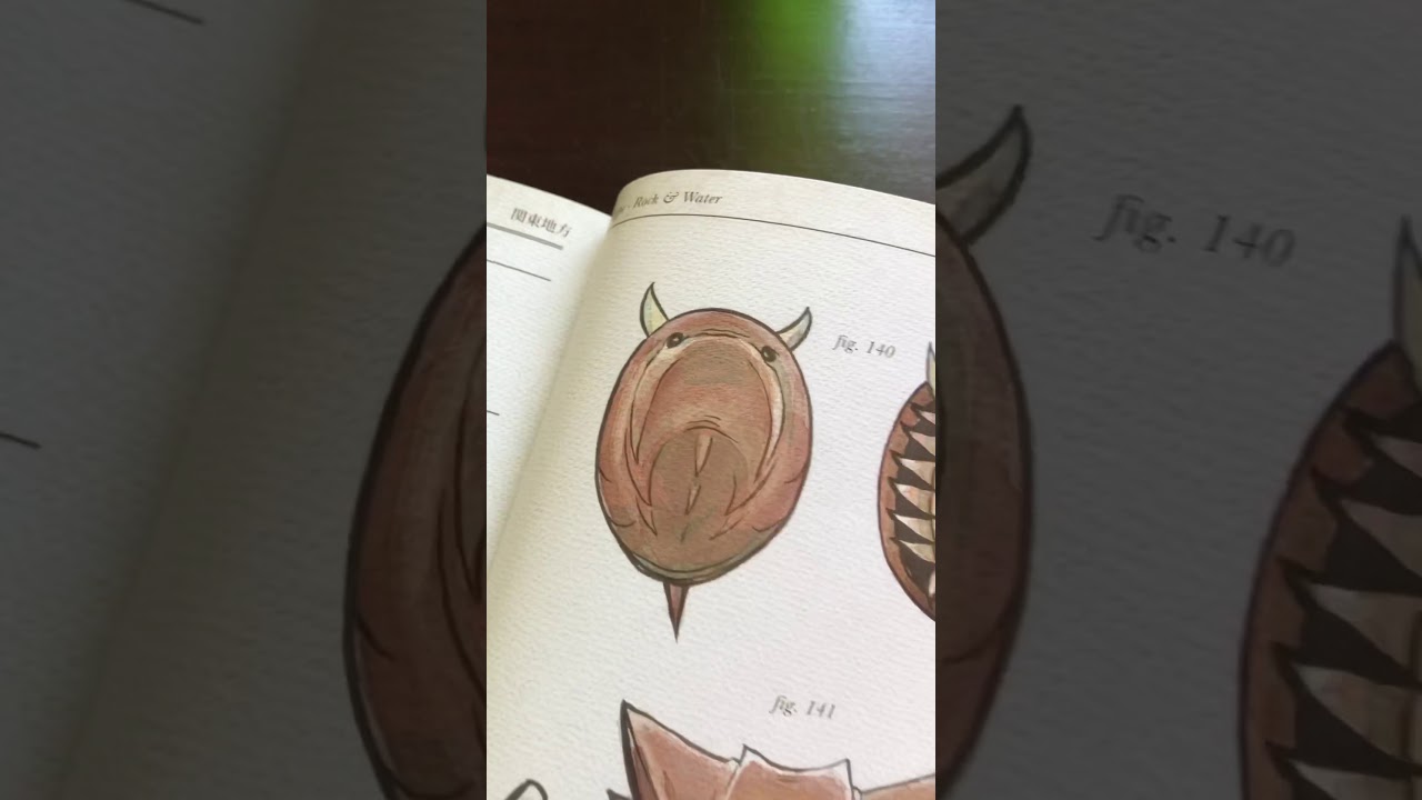 Pokémon #140 Kabuto Complete Bio