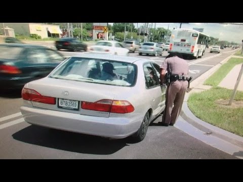 Digital Short: Fake insurance Cards