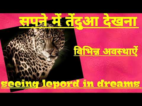 सपने में तेंदुआ देखना । विभिन्न अवस्थाऐं ।seeing leopard in dreams.