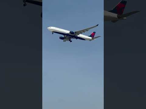 Delta A330-300 landing at CVG Airport #shorts