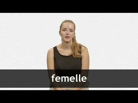English Translation of “FEMELLE” | Collins French-English Dictionary