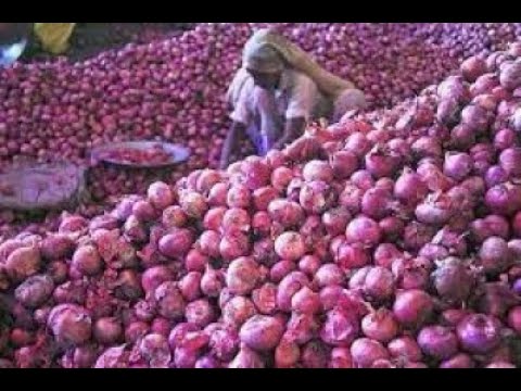 Centre Directs NAFED, NCCF To Intervene In Purchase Of Red Onion | Rythu #Directs #NAFED #NCCF