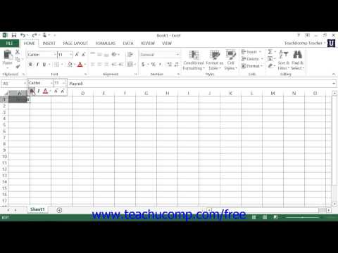 Excel 2013 Tutorial The Mini Toolbar Microsoft Training Lesson 1.17