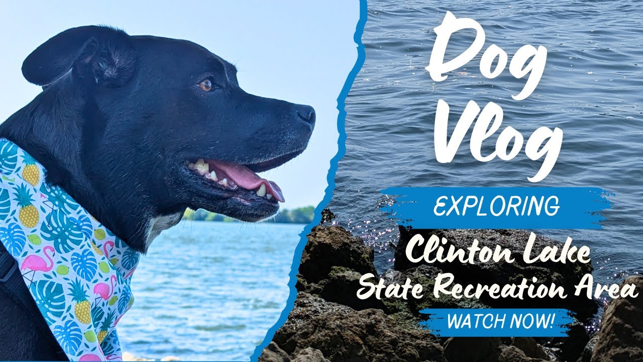 Dog Vlog: Discovering Clinton Lake State Recreation Area: Dog-Friendly Hiking in Illinois