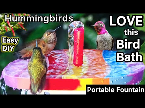 How To Make Hummingbird ENDLESS Water Fountain DIY 🐦 LOVED Bird Bath EASY Solar Powered or No Outlet