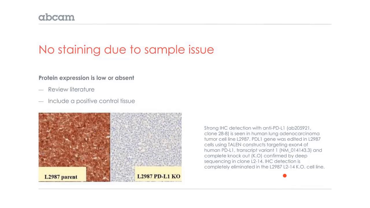 IHC: Troubleshooting (no staining)