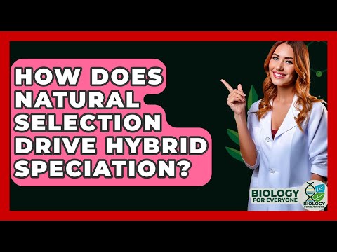 How Does Natural Selection Drive Hybrid Speciation? - Biology For Everyone