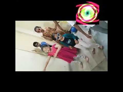 Hukum Tiger ka Hukum💃 #shorts #ytshorts