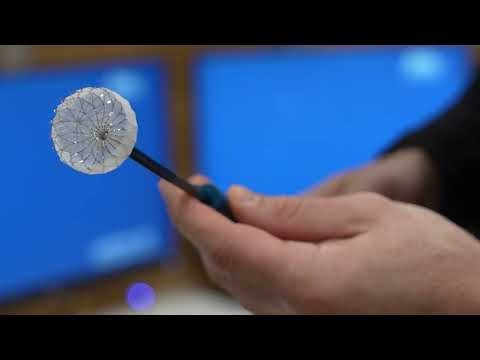 Watchman Device Reduces Risk of Stroke for AFib Patients