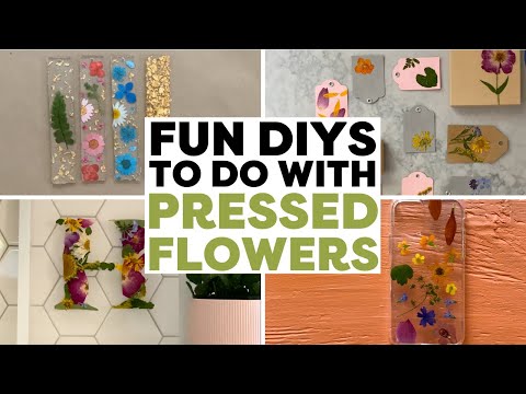 Try These Fun Pressed Flower DIYs! πΈπΌ | HGTV Handmade