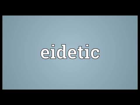 Eidetic Meaning