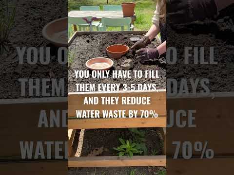 DIY Olla Garden Watering System #olla #oya