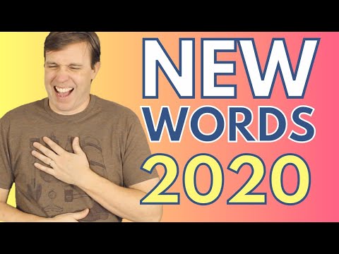 NEW WORDS from 2020 | Vocabulary Year in Review