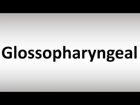 How to Pronounce Glossopharyngeal