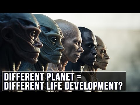 Convergent Evolution Vs Divergent Evolution: Shared Traits Explained