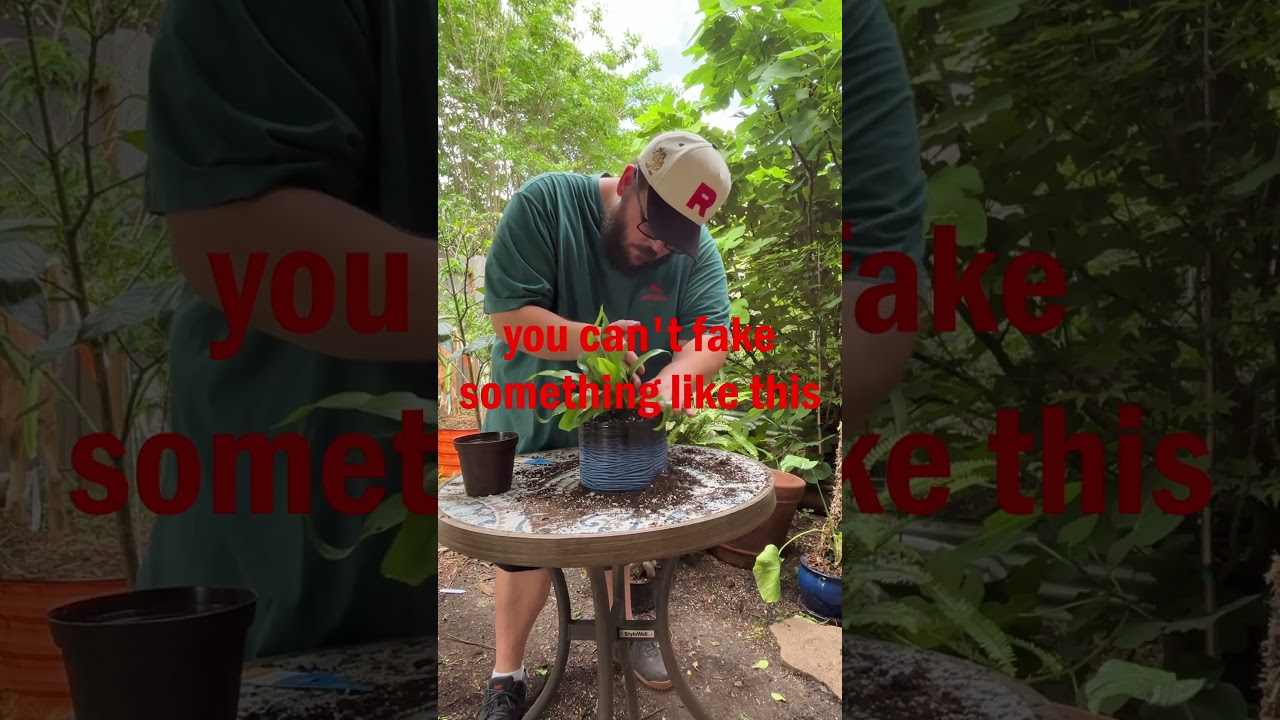 I Built This Garden During My Darkest Time