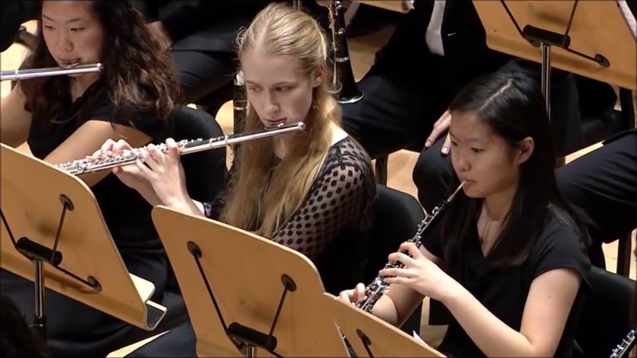 IUSD High Orchestra 2017