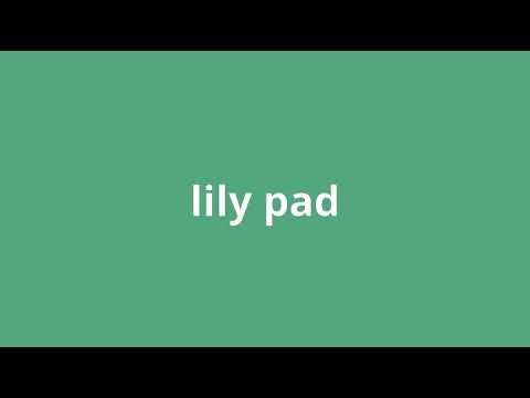 what is the meaning of lily pad