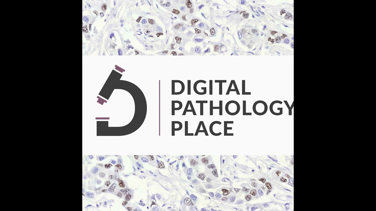 234: Quality, Teaching, and AI: A Practical Shift in Pathology