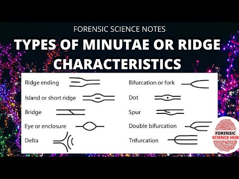 Class and Individual characteristics of fingerprints | Ridge characteristic types | Minutae types