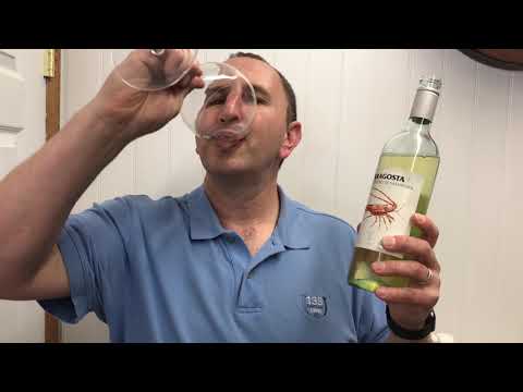 Cantina Santa Maria La Palma Aragosta Vermentino | One Minute of Wine Episode #542
