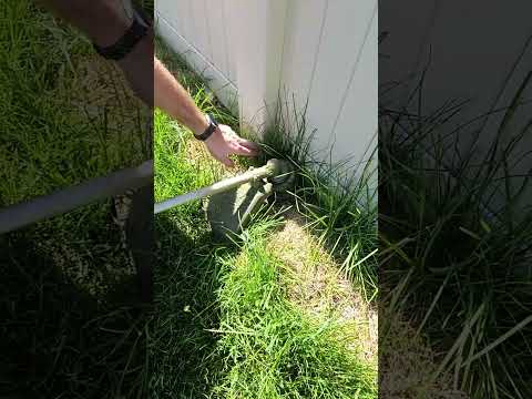 Weed Eater for the win in those tight corners
