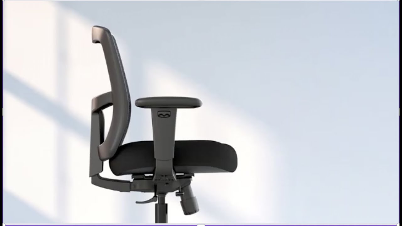 Zone Too Ergonomic Task Chair