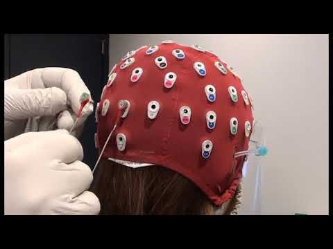 RMS EEG Machine - Latest Price, Dealers & Retailers in India