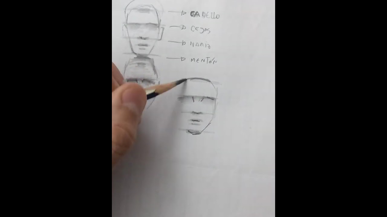 Practica sólo esto. Ejercicio básico de proporciones del rostro.
