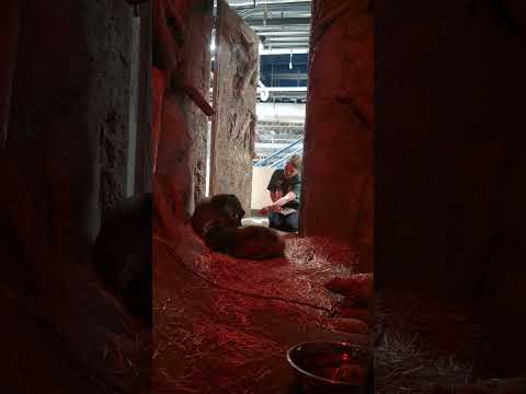 Wonders of wildlife aquarium Springfield Missouri