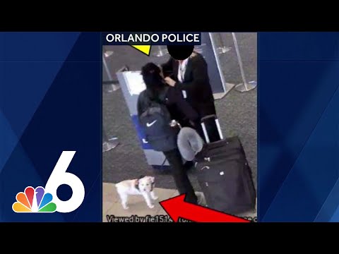 Florida woman drowns dog in airport bathroom so she can board flight: Police