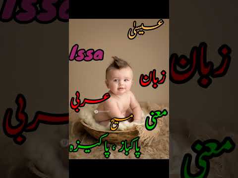 Issa name meaning in urdu / Islami boy name(عیسیٰ) #2023