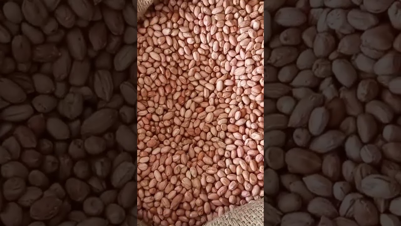 peanuts wholesale. karthik 9885498913