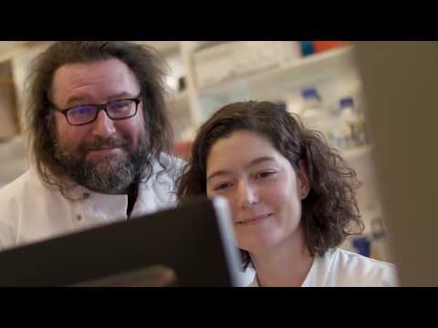 Online course trailer: Bacterial Genomes: From DNA to Protein Function Using Bioinformatics
