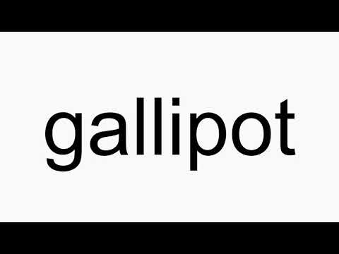 How to pronounce gallipot