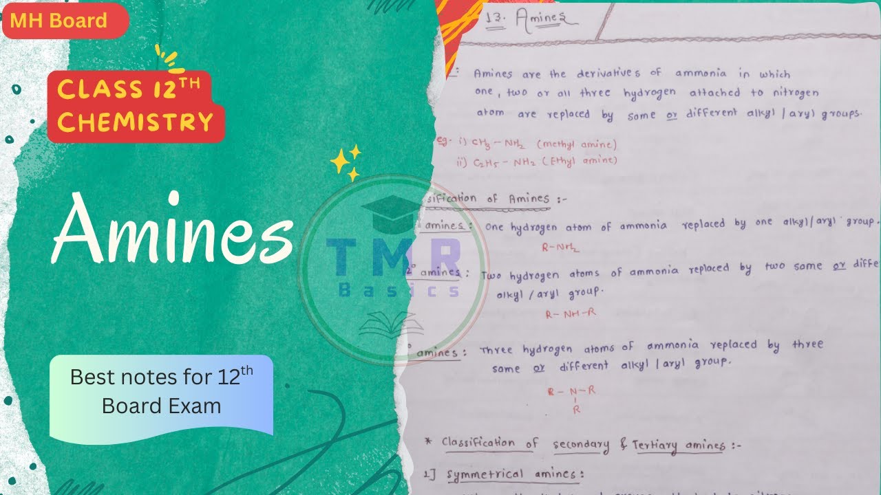 13. Amines || Class 12th chemistry notes || MH Board || #tmrbasics #anime