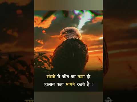 A1 MOTIVATION AND MOTIVATION QUOTES