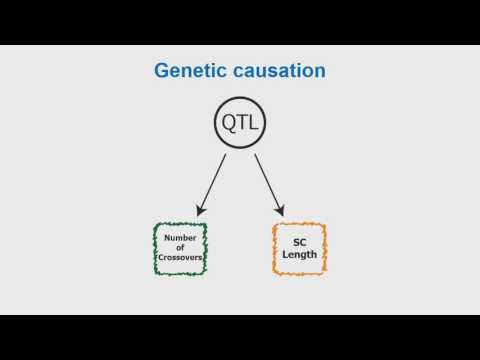 R Wang: Genetic analysis of an intermediate phenotype for recombination rate variation.