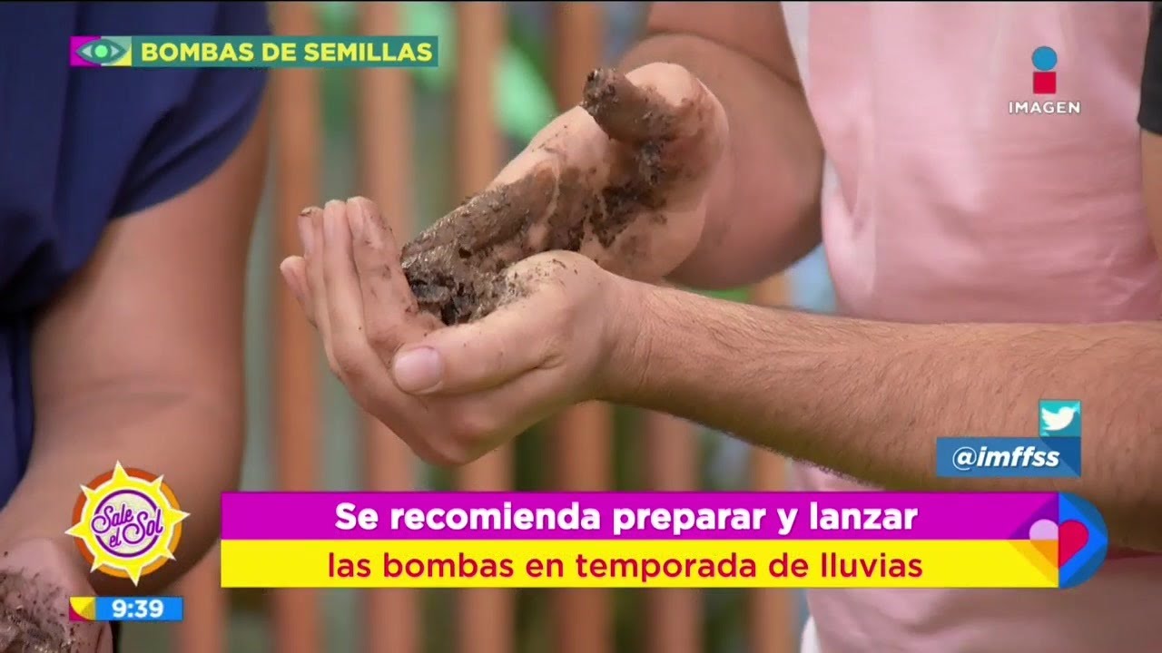 ¿Cómo ayudan las bombas de semilla y cómo hacerlas? | Sale el Sol