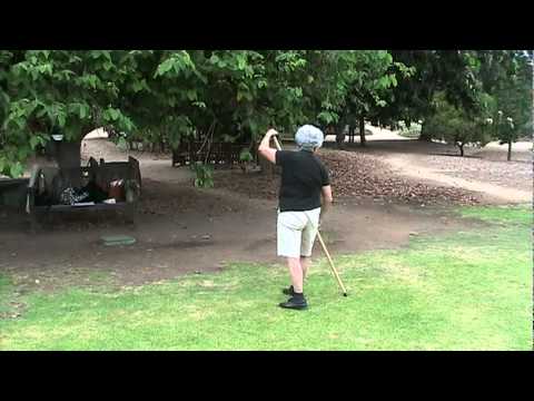 The Longevity Stick | Chinese Wand Exercise Blog