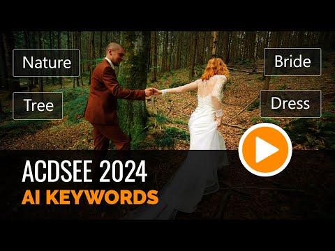 ACDSee Photo Studio 2024 - AI Keywords