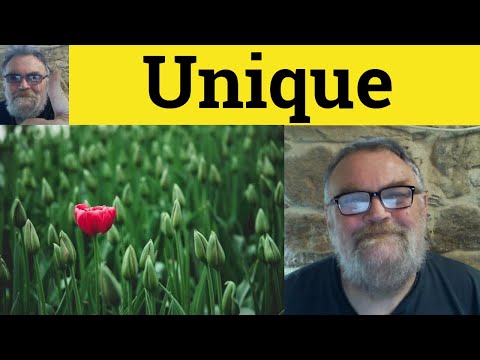 π Unique Meaning - Unique Defined - Unique Examples - Unique Definition - Unique