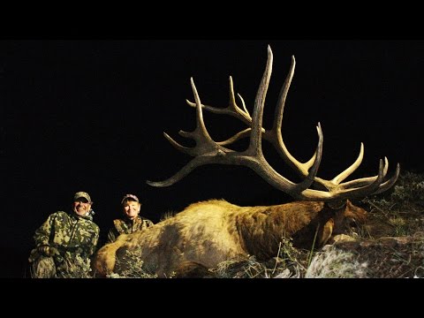 441" Bull Elk Hunt in Nevada - Sue Ann Kinney - MossBack