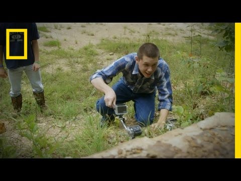Copperheads! Copperheads! Everywhere! | Snake Salvation