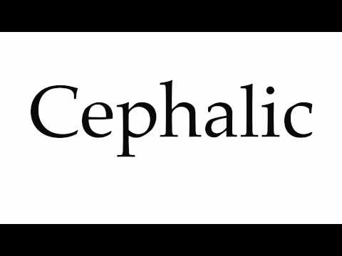 How to Pronounce Cephalic