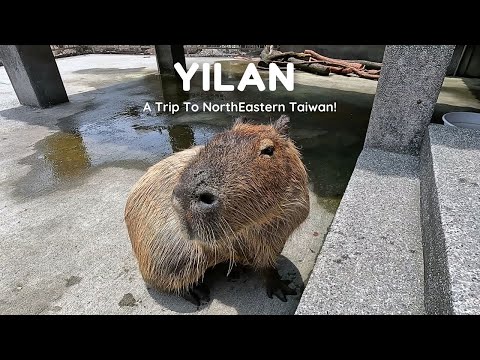 A Trip To Yilan, Taiwan | Capybara Experience, Onsen & Cafe!