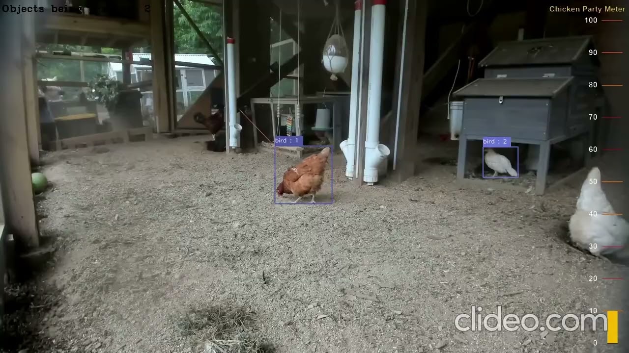 Chicken Behavior Detection demo