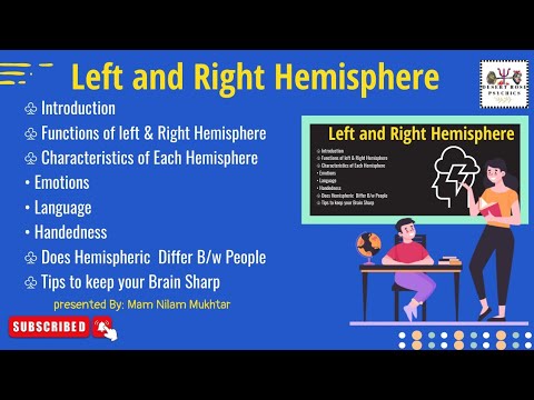 Left and Right Hemispheres of the Brain in Urdu & Hindi | By Mam Nilam Mukhtar |