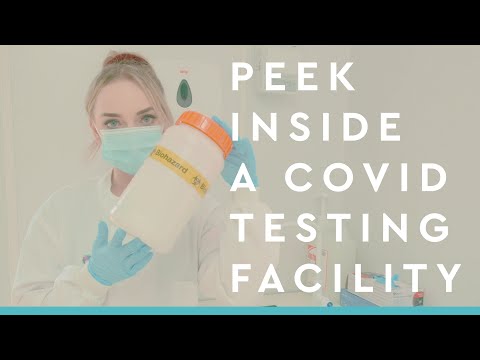 What Is PCR Testing for COVID-19? How does a COVID Lab look from the inside?