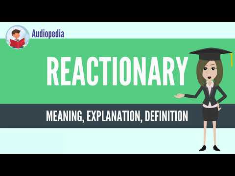 What Is REACTIONARY? REACTIONARY Definition & Meaning